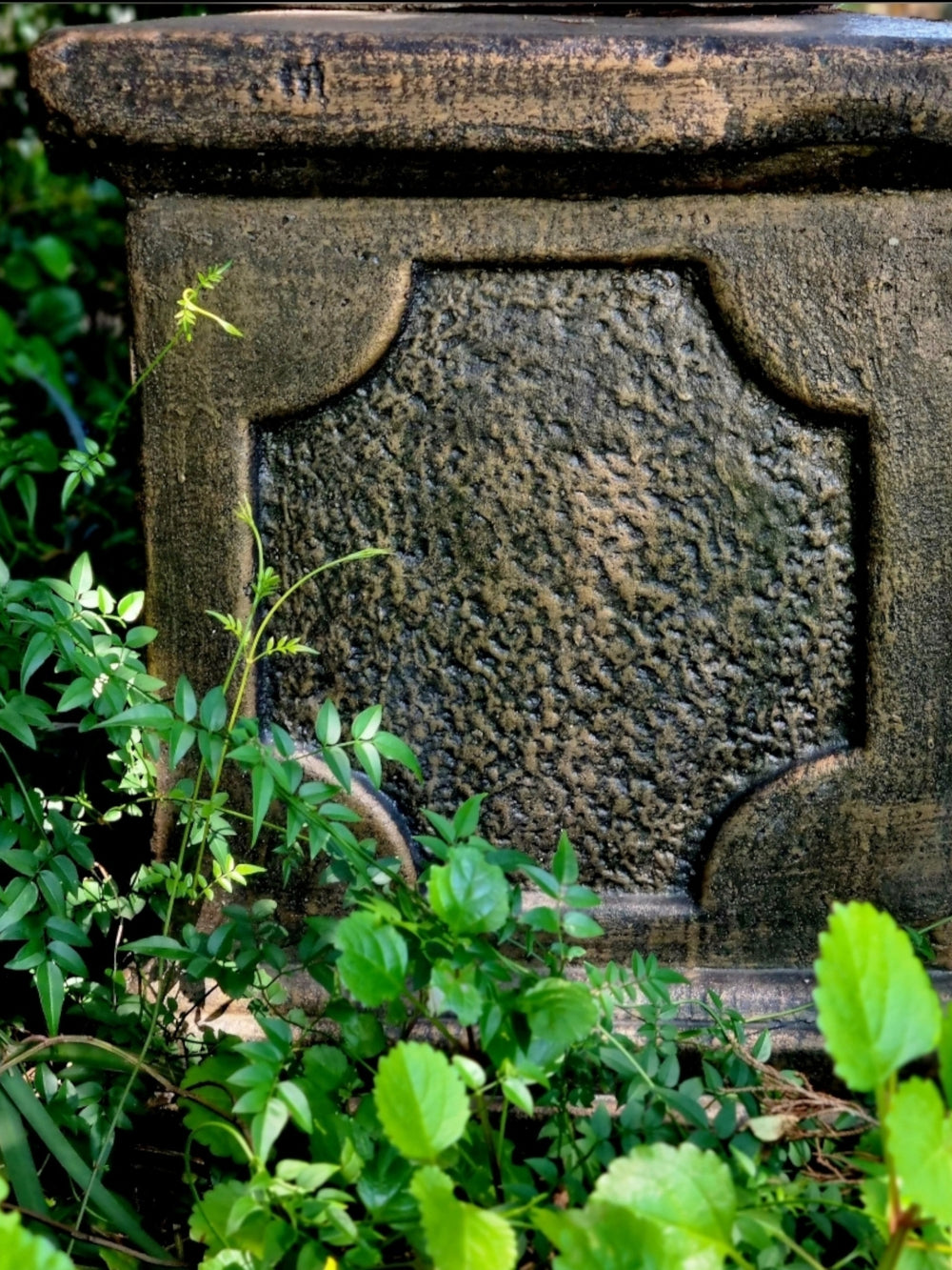 Welcome to DDP Shopping - https://ddpshopping.com/ – DDP Online Shopping