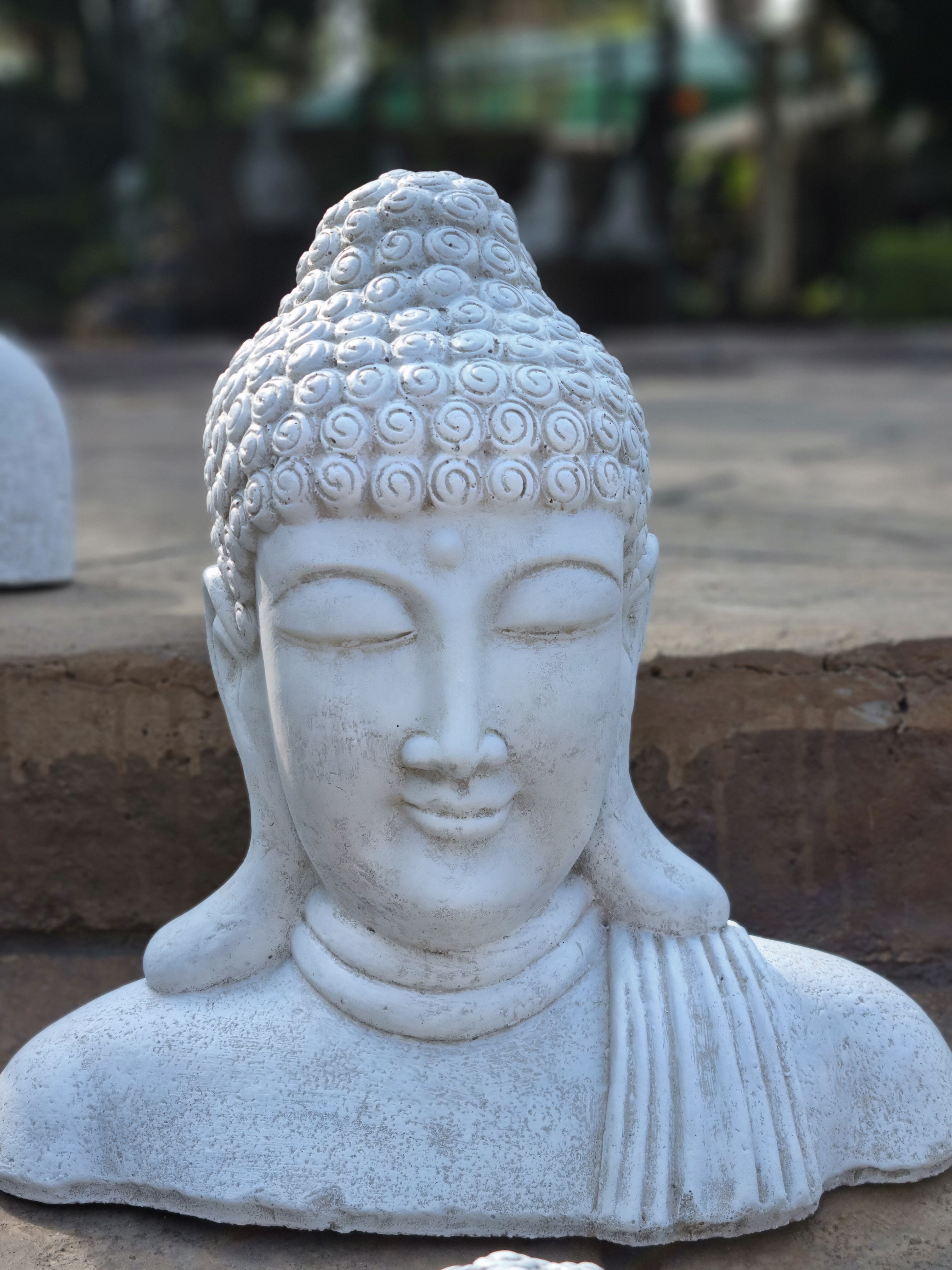 Buddha Range - Made in Concrete – DDP Online Shopping